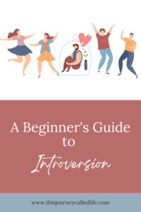 A Beginner’s Guide to Introversion